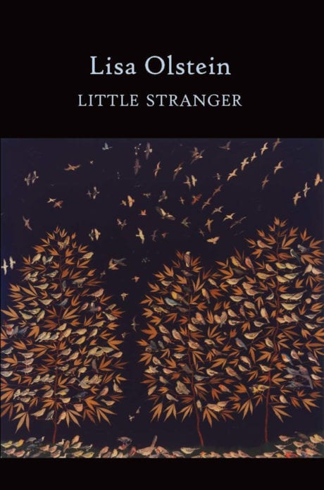 Little Stranger by Lisa Olstein - Copper Canyon Press