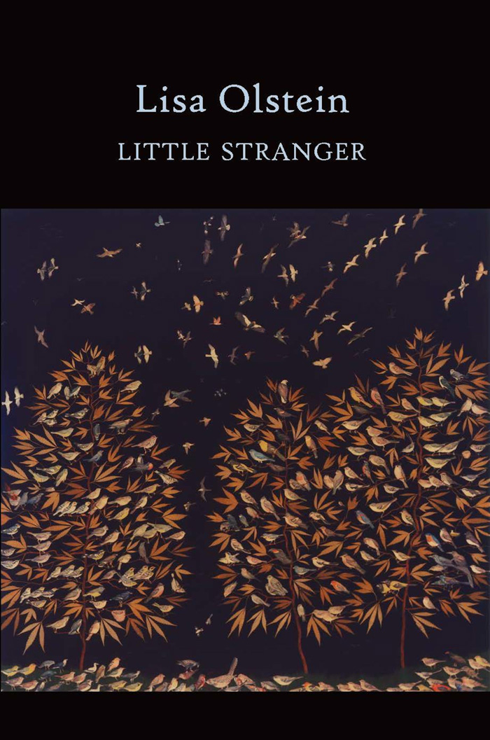 Little Stranger by Lisa Olstein - Copper Canyon Press