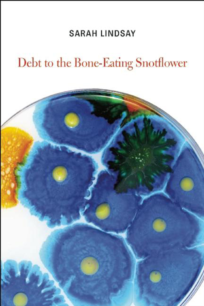 Debt to the Bone-Eating Snotflower by Sarah Lindsay - Copper Canyon Press
