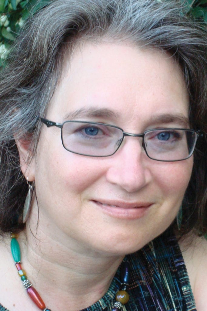 Inseminating the Elephant by Lucia Perillo - Copper Canyon Press