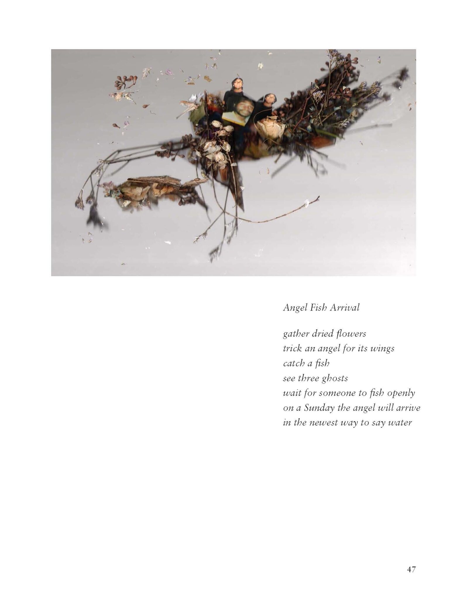 Engaging the Image with Copper Canyon Press – Copper Canyon Press